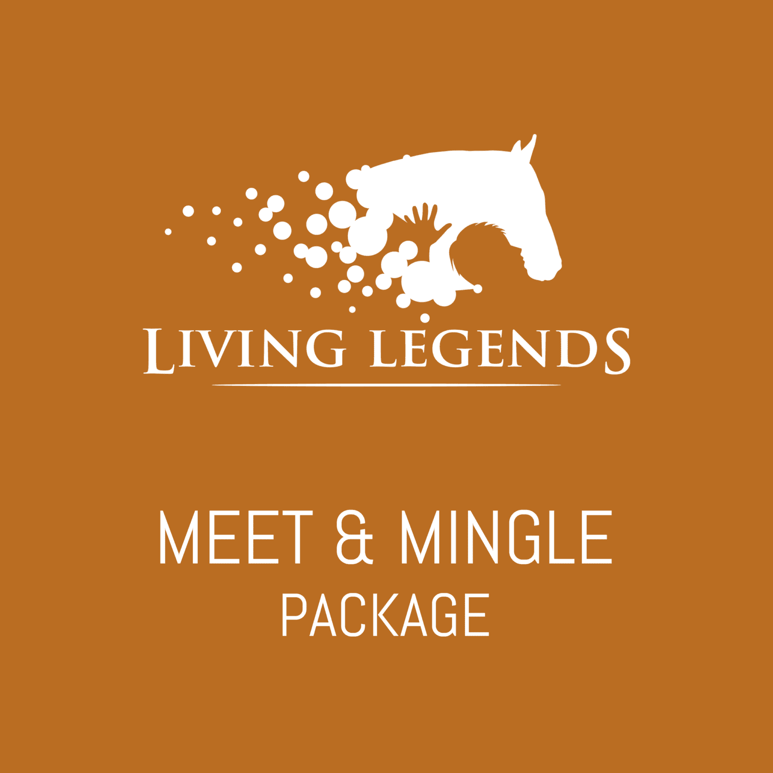 Living Legends | International Home of Retired Champion Racehorses