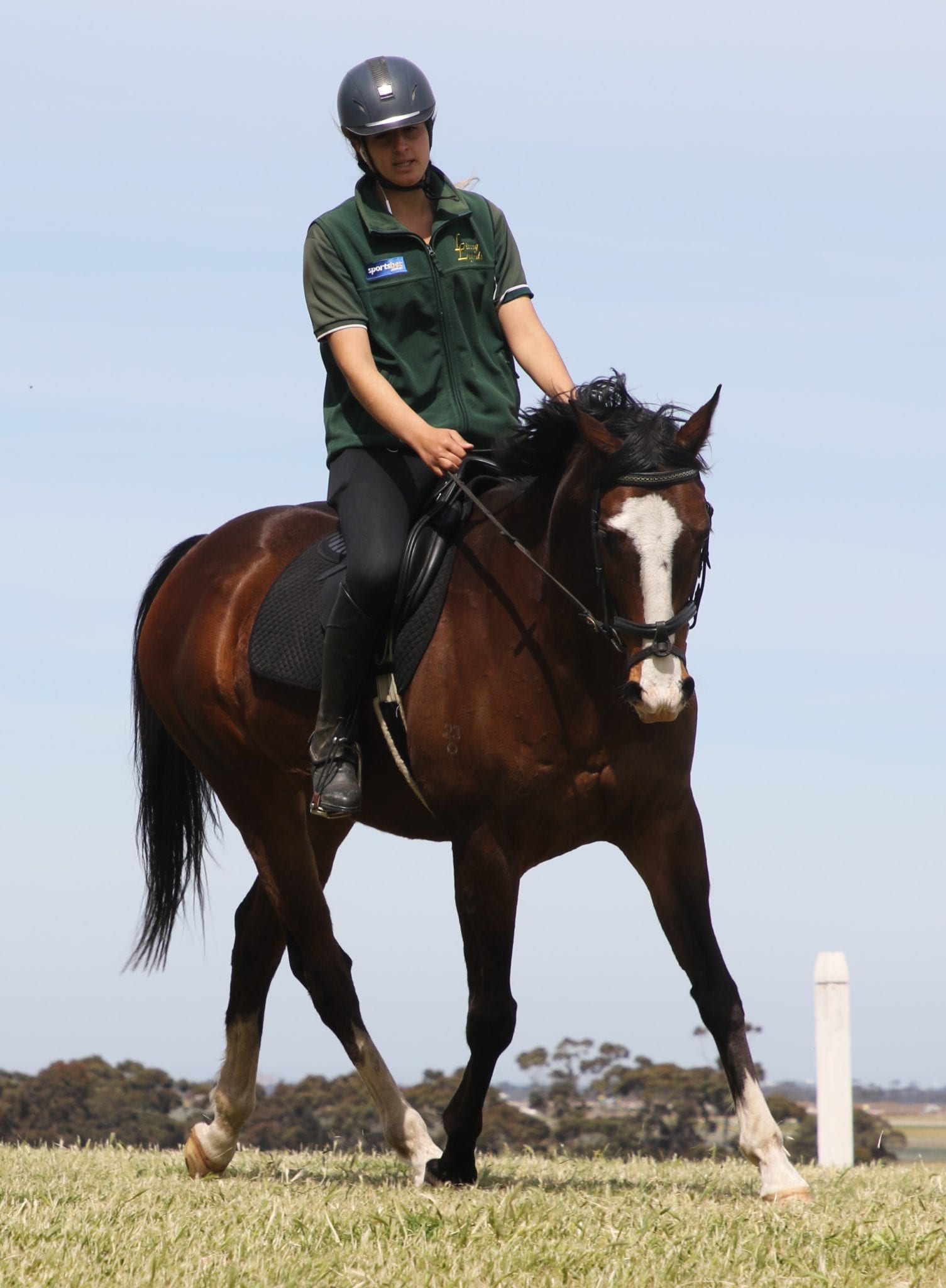 Tom Melbourne (IRE) | Living Legends