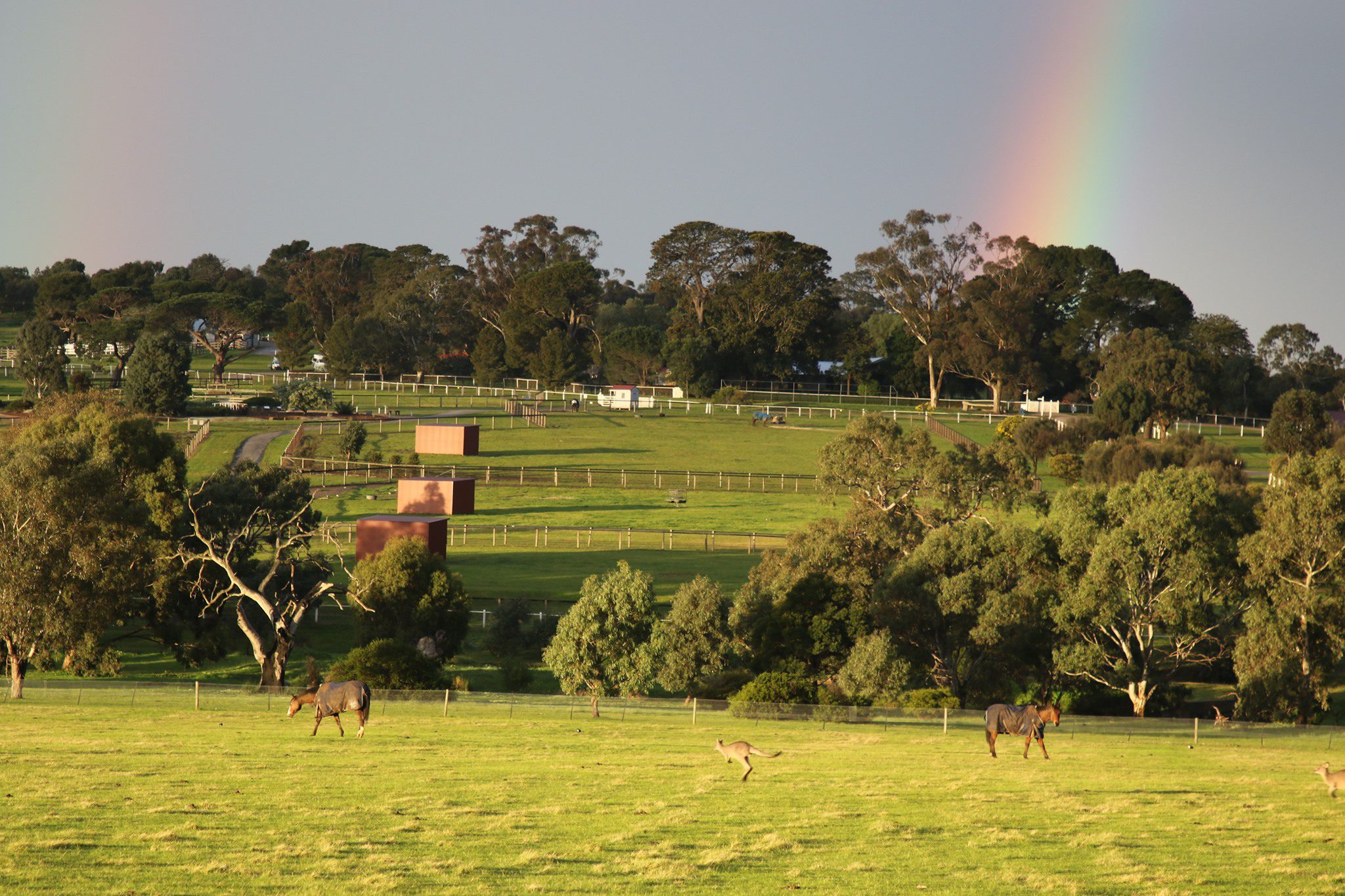 Living Legends | International Home of Retired Champion Racehorses