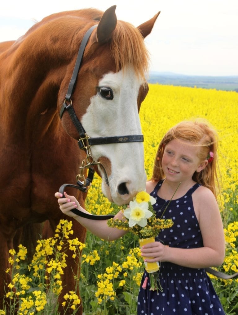 Apache Cat (AUS) | Living Legends
