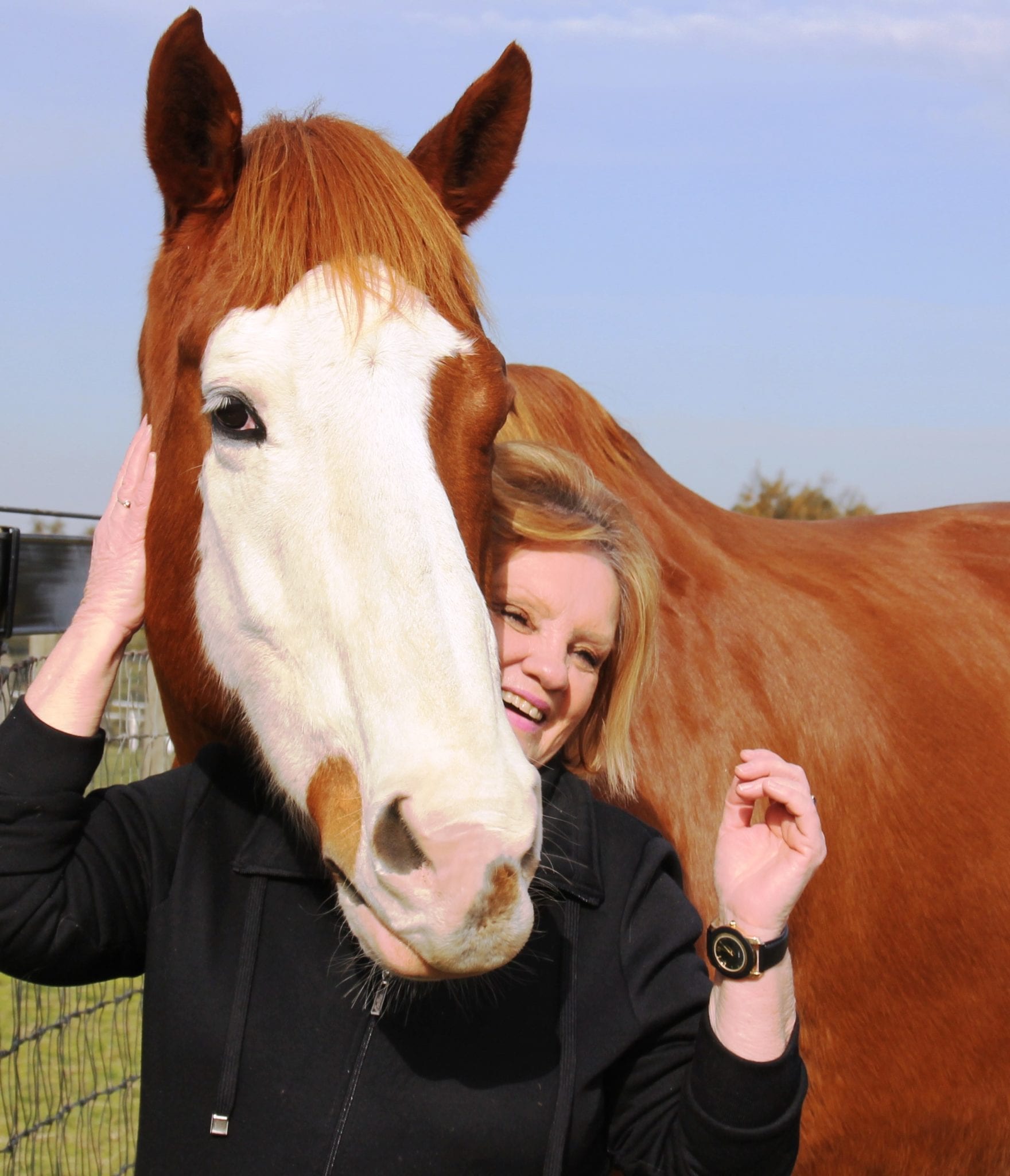 Apache Cat (AUS) | Living Legends