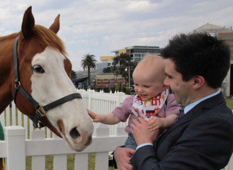 Apache Cat (AUS) | Living Legends