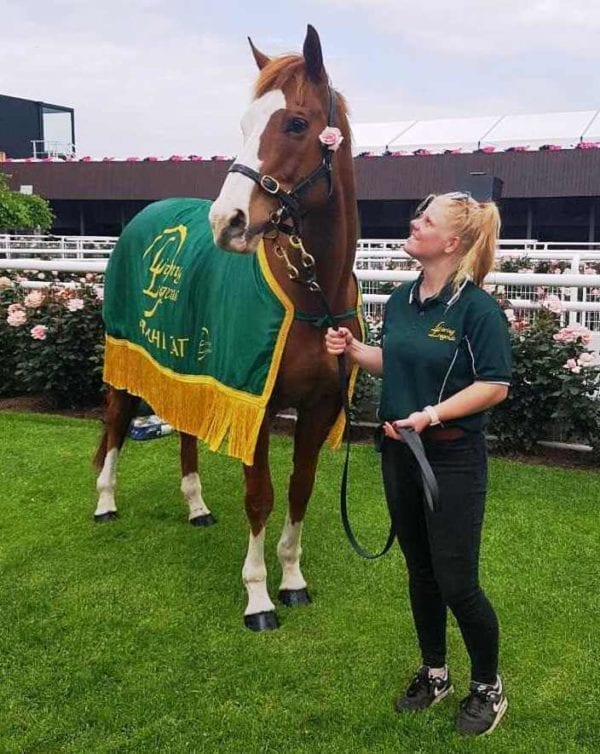 Apache Cat (AUS) | Living Legends