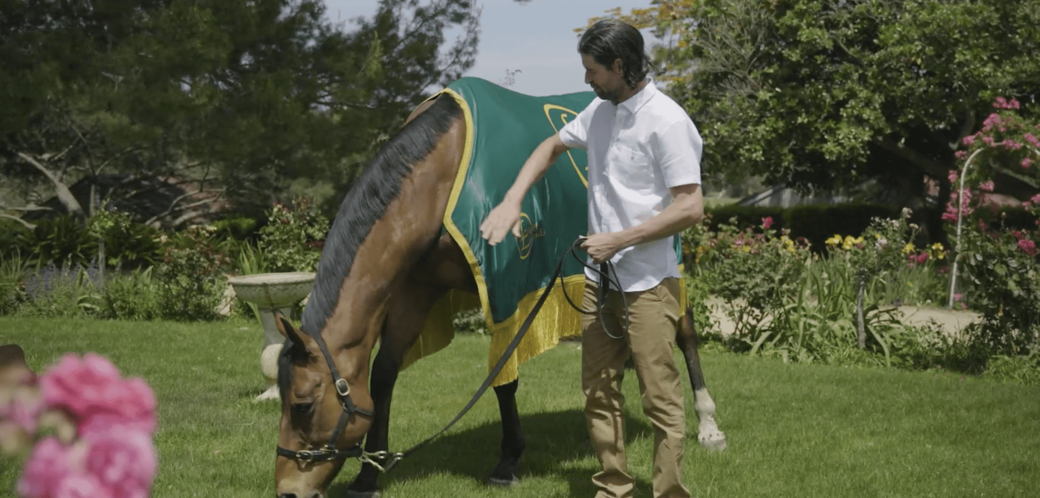 Living Legends | International Home of Retired Champion Racehorses