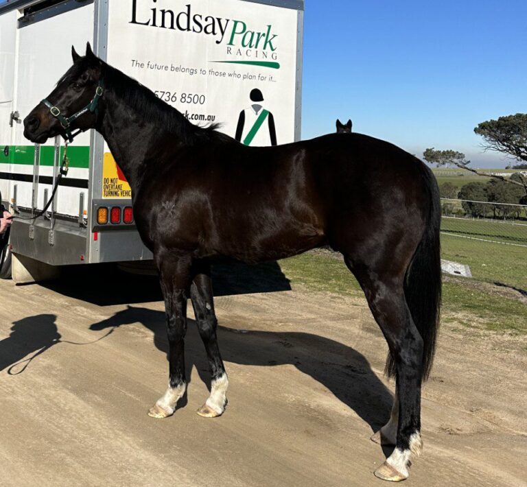 So Si Bon | Living Legends